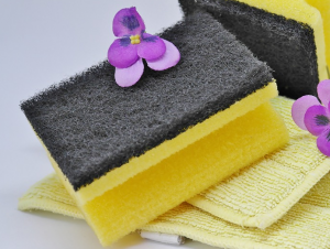 Usate la spugna da cucina? Questo studio vi farà pentire, dovreste ...