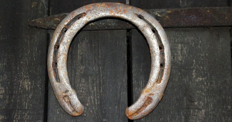 Ricordate Christian Giuffrida, ex bomber dei "Campioni" del Cervia ...