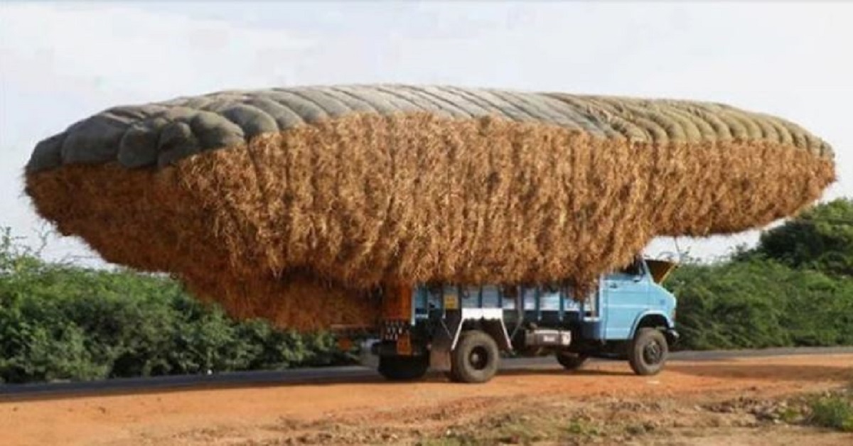 23 immagini di cose strane e rare che solo poche persone al mondo sono ...