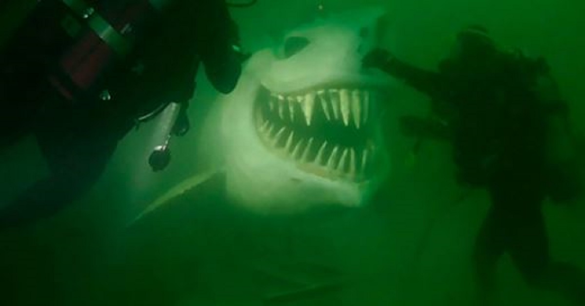 Paura del sommerso: 21 delle foto più spaventose raccolte sui social