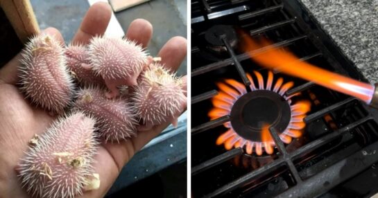 Ricordate Christian Giuffrida, ex bomber dei "Campioni" del Cervia ...