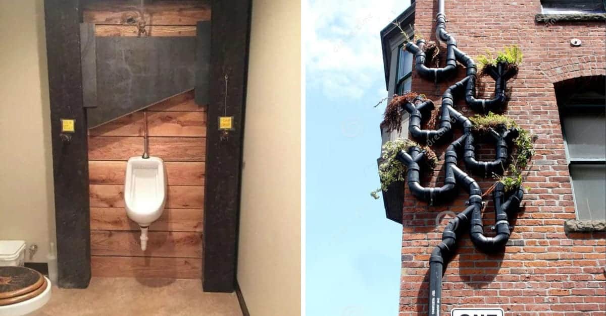 21 foto di cose molto strane che hanno sorpreso molti utenti