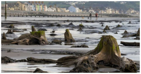 Ricordate Christian Giuffrida, ex bomber dei "Campioni" del Cervia ...