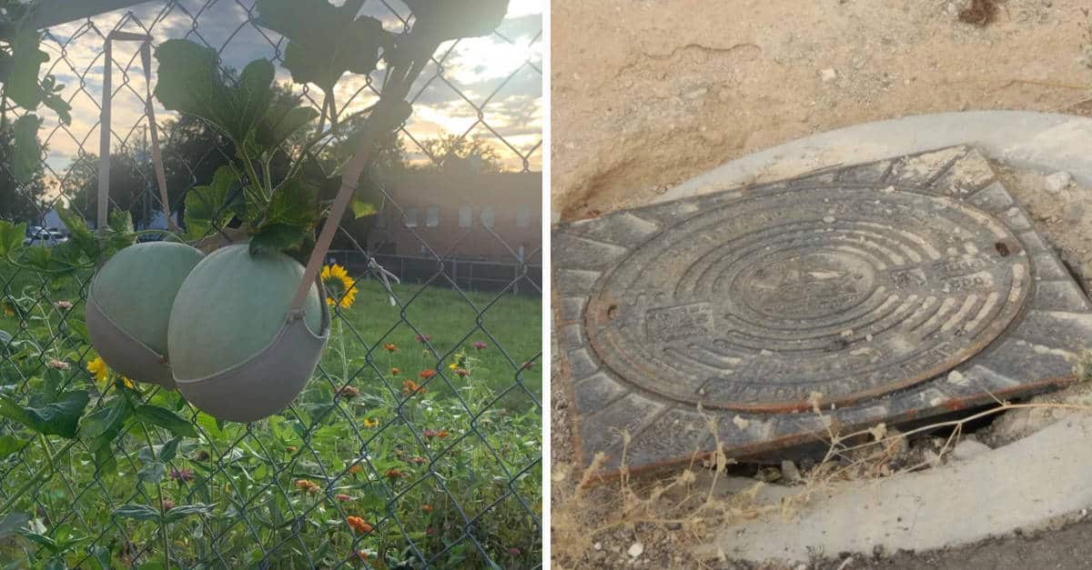 15 foto strane che lasciano di sasso e fanno strabuzzare gli occhi