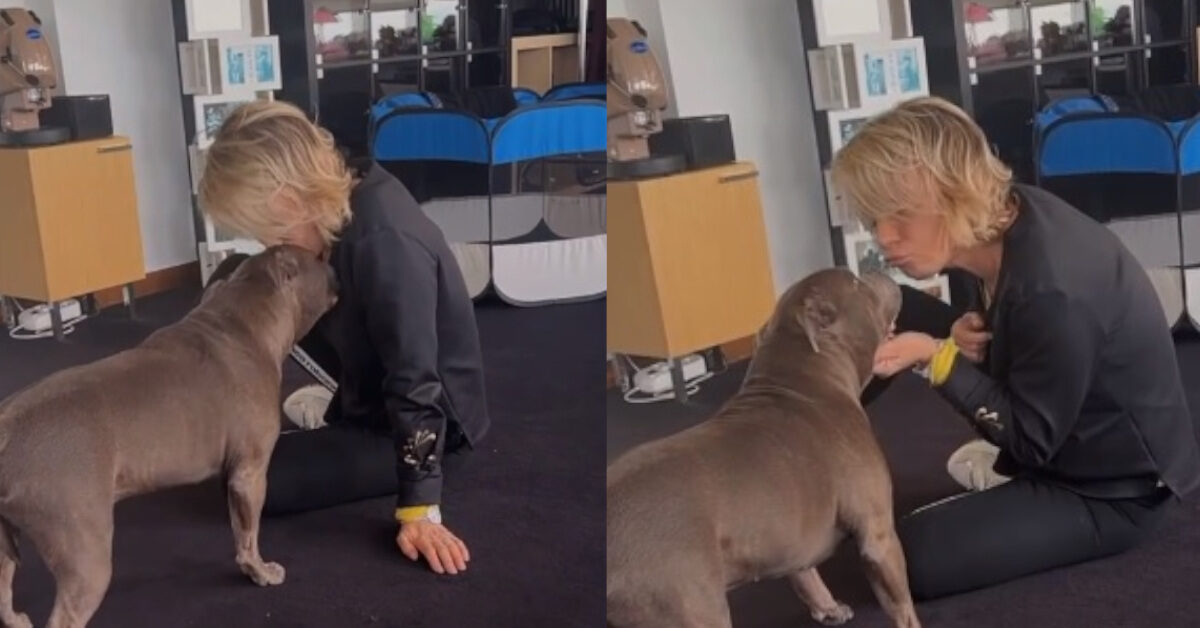 Maria De Filippi si concede un momento di gioco con il cane Saki: il ...